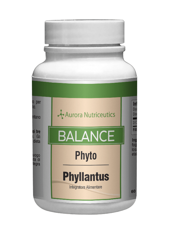 PHYLLANTUS - Phyllanthus niruri